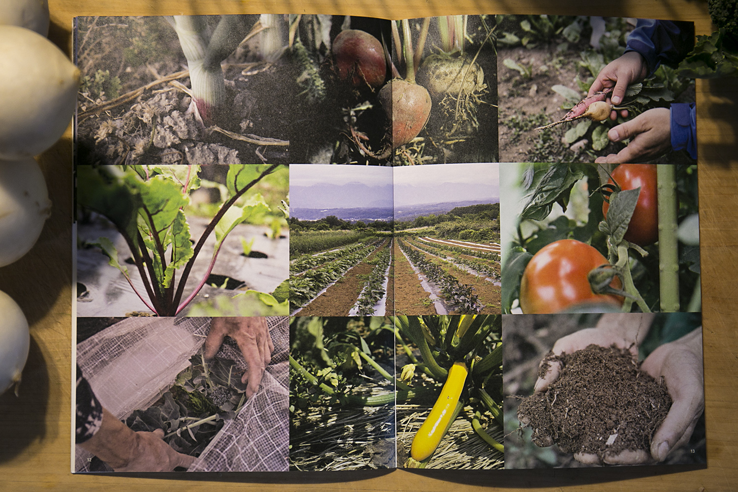 『有機農業と、』 | BEEK DESIGN