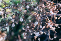 些細なこと | BEEK DESIGN